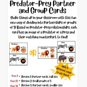 Predator & Prey Partner or Small Group Pairing Cards - Etsy