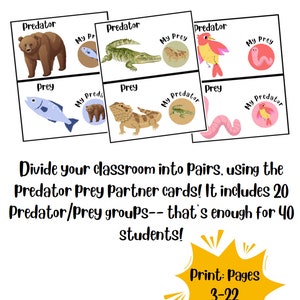 Predator & Prey Partner or Small Group Pairing Cards - Etsy