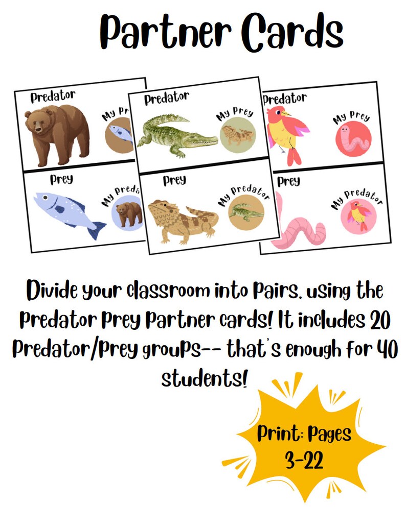 Predator & Prey Partner or Small Group Pairing Cards - Etsy