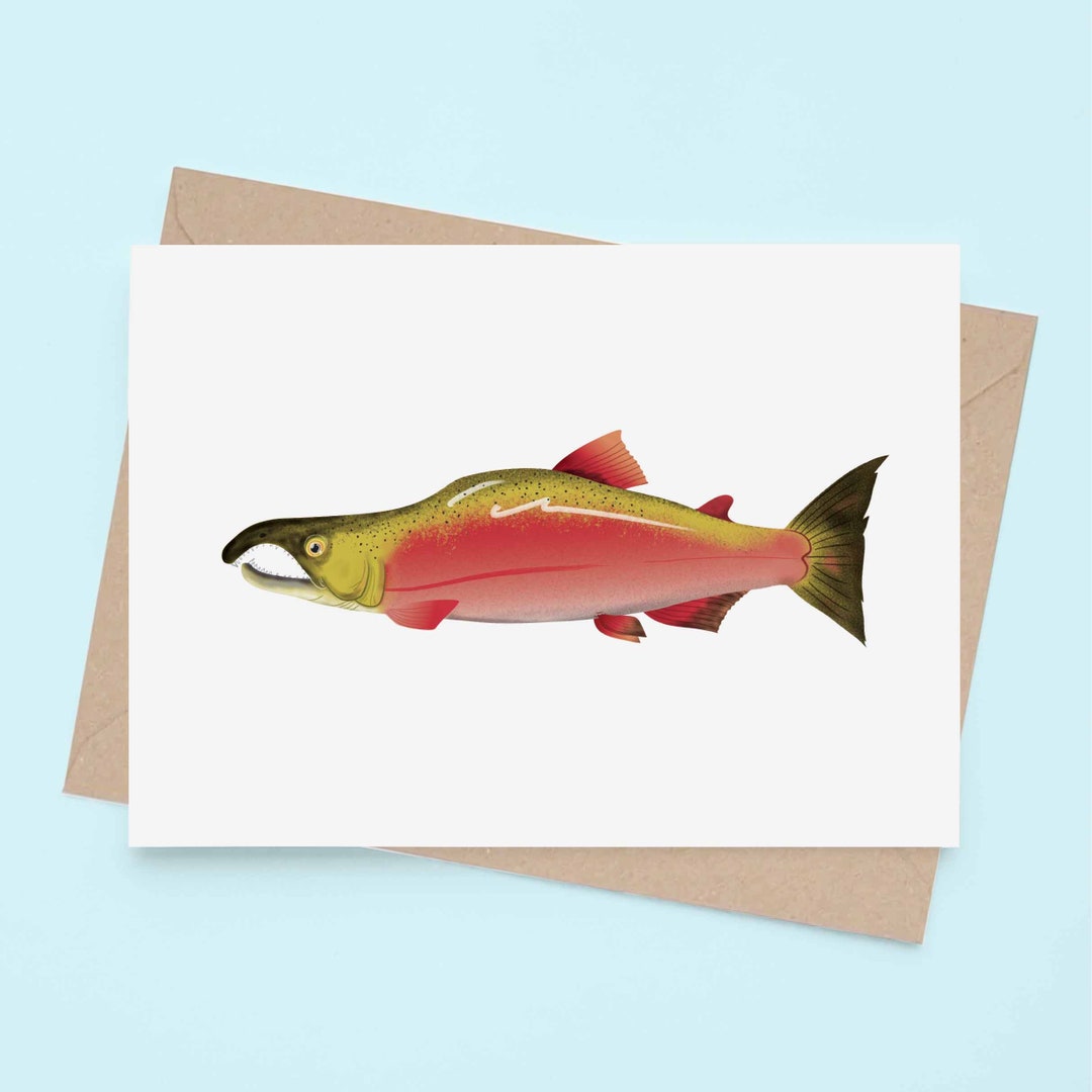 Salmon Greetings Card. Sockeye Illustrated A6 / 7x5 Card Ocean Guard - Etsy