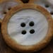 Faux Shell Button With Faux Wood Outer/ 1 Dozen/ 4 Hole - Etsy