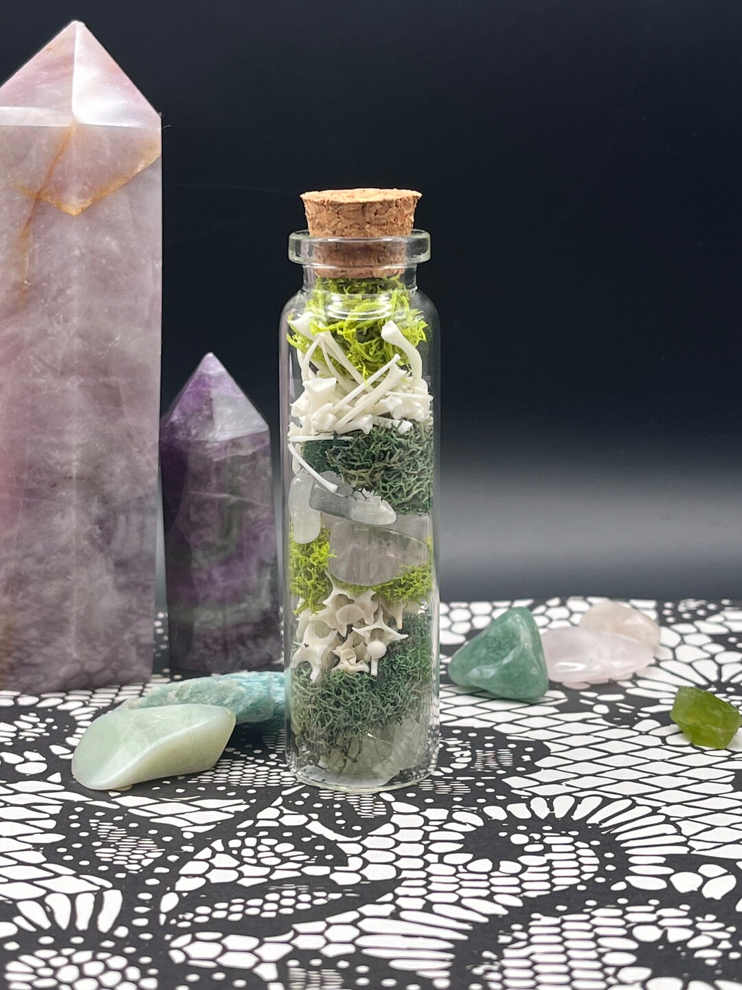 Snake Bone Jar Curio Jar Oddities Jar Taxidermy Unique Decorative ...