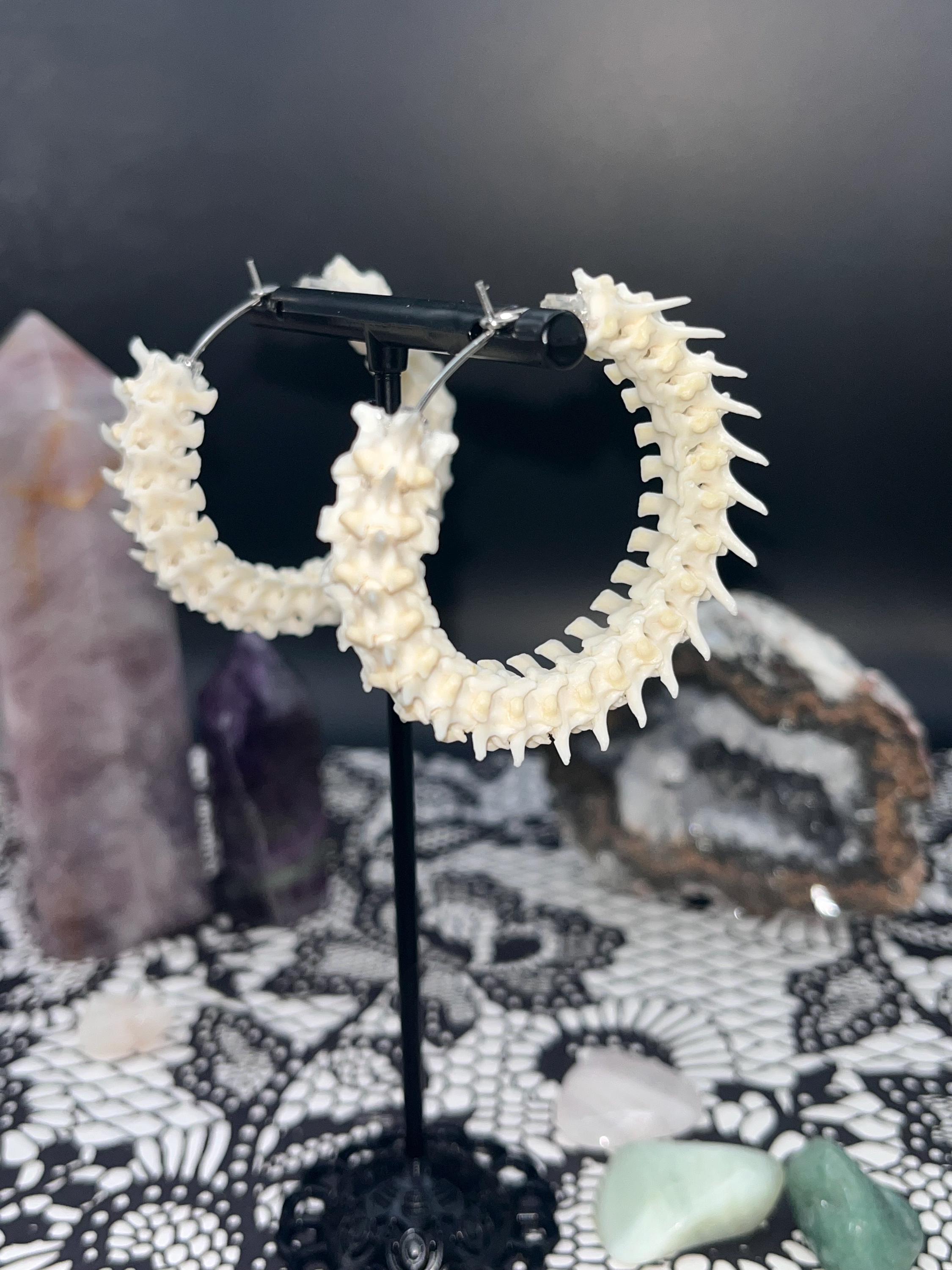 Real Bone Oddities Boa Constrictor Vertebrae Earrings 35mm Stainless ...