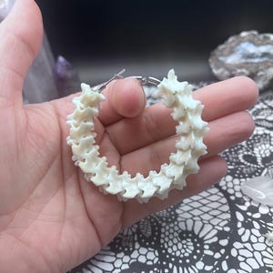 Real Bone Oddities XL Ball Python Vertebrae Earrings 50mm Stainless ...