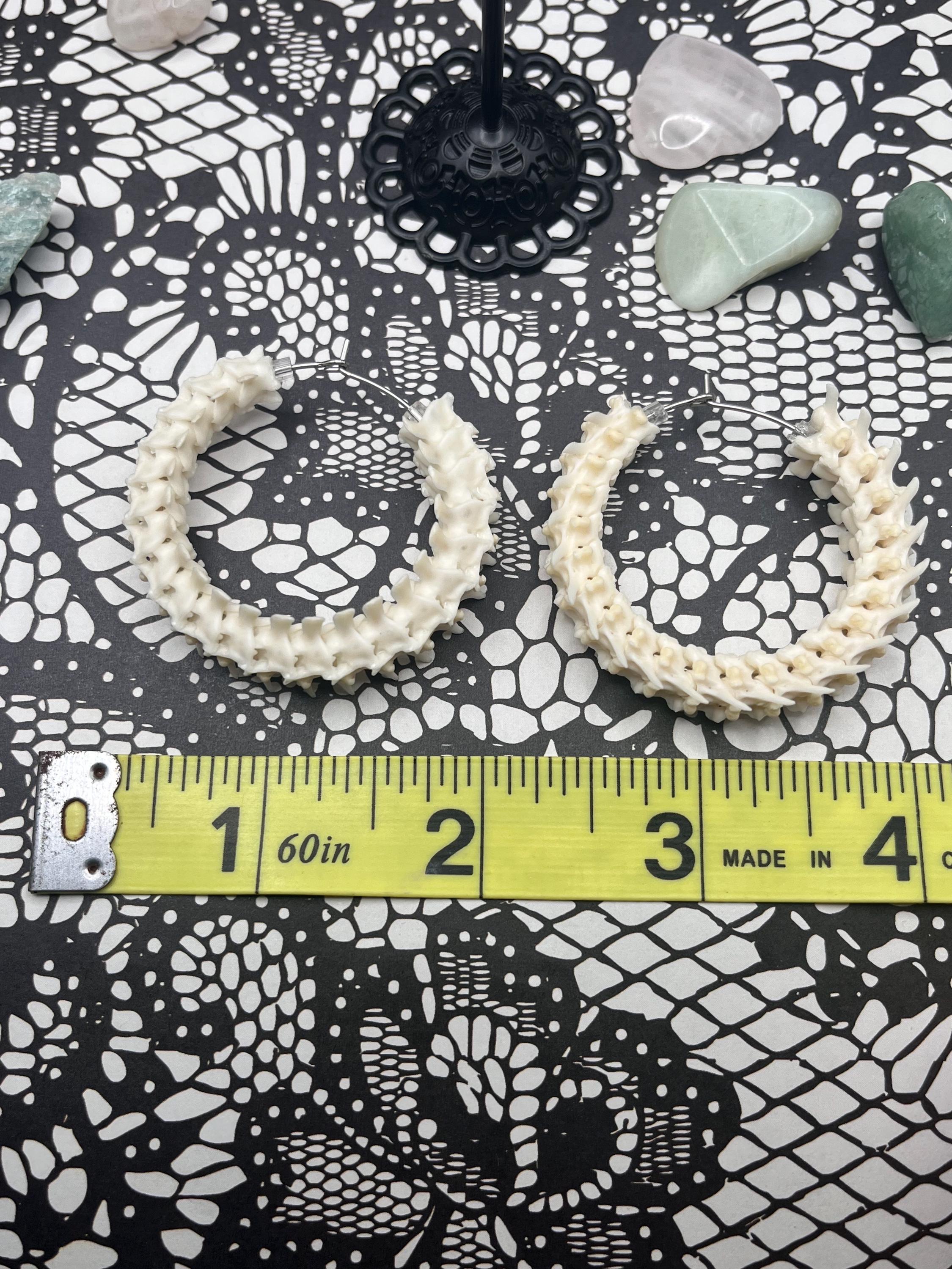 Real Bone Oddities Boa Constrictor Vertebrae Earrings 35mm Stainless ...