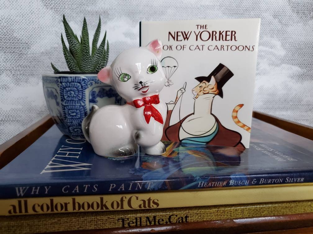 Crazy Cat Lady Starter Kit Envelope