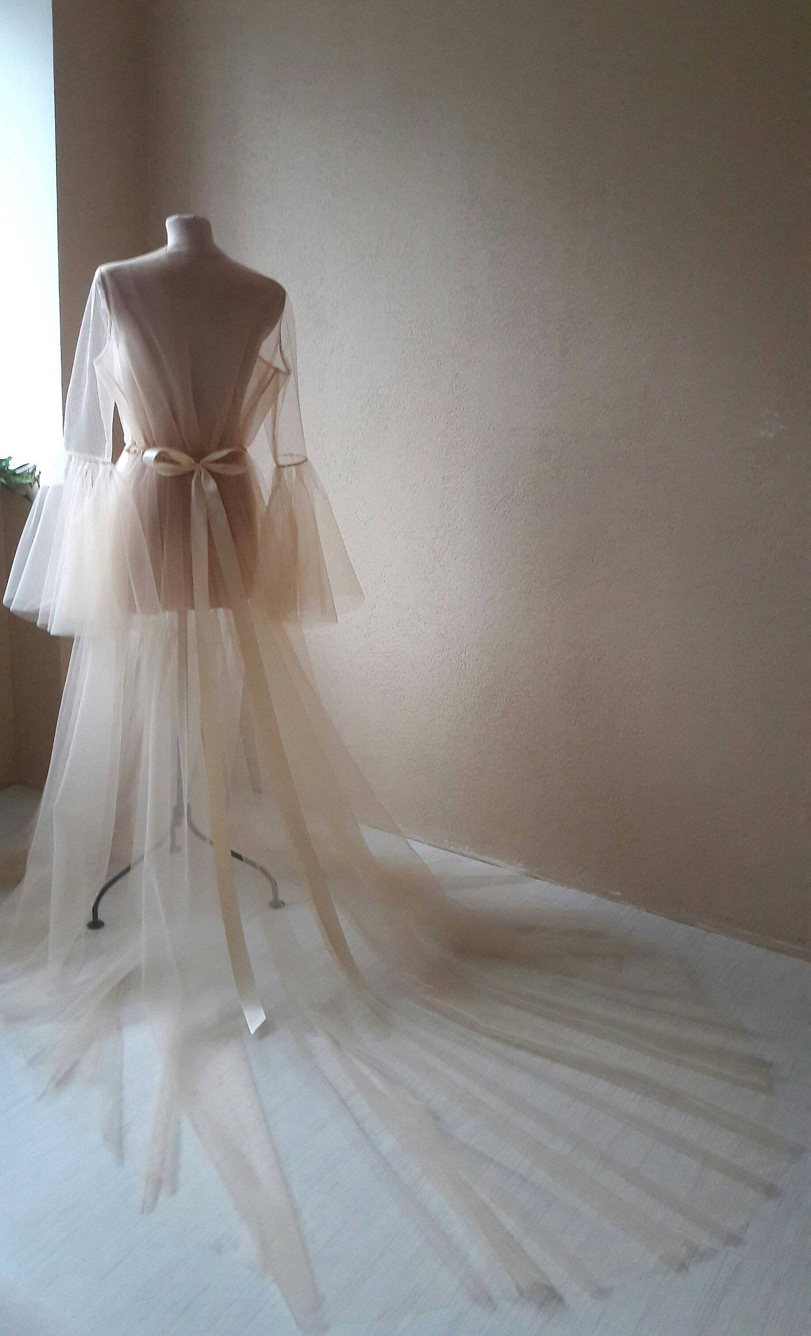 Beige Boudoir Dress, Tulle Boudoir Gown, Long Sleeve Bridal Gown ...