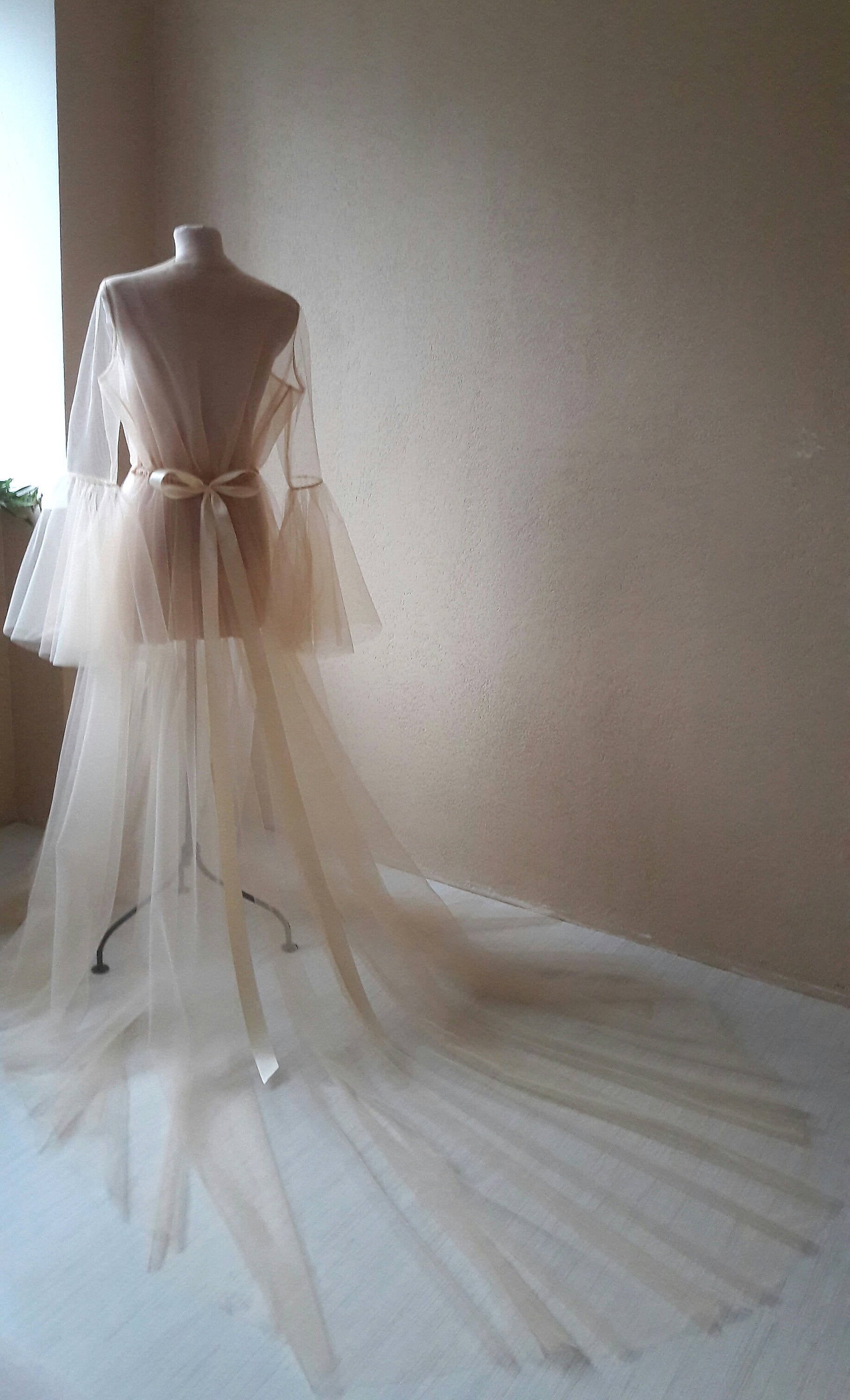 Beige Boudoir Dress, Tulle Boudoir Gown, Long Sleeve Bridal Gown ...