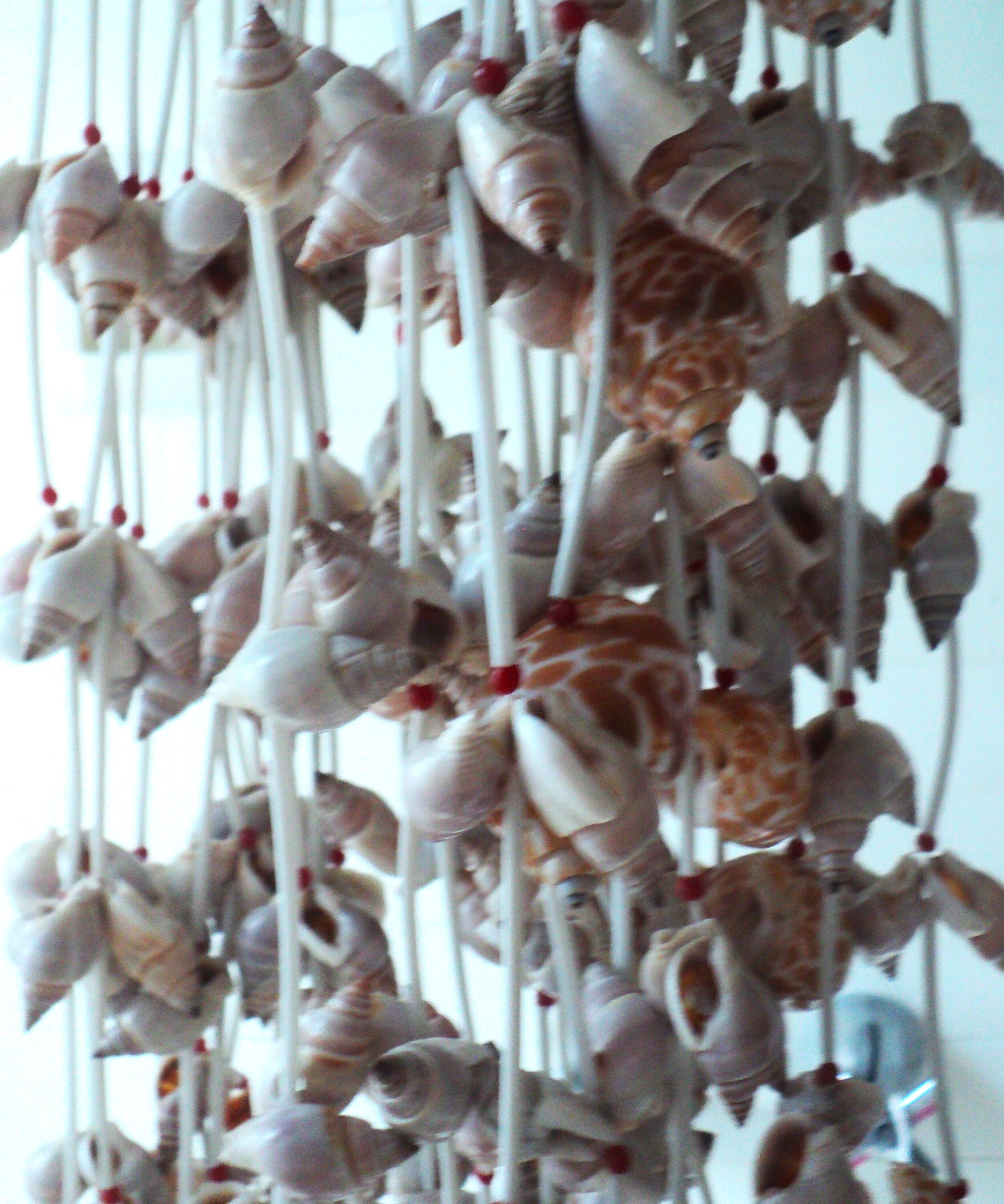 SHELL PORTIERE Hanging Curtain Grey CONCH Shells Shell - Etsy