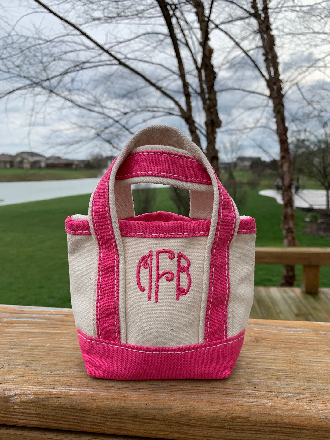 Mini Tote / Gift Bag / Canvas Bag With Handles - Etsy