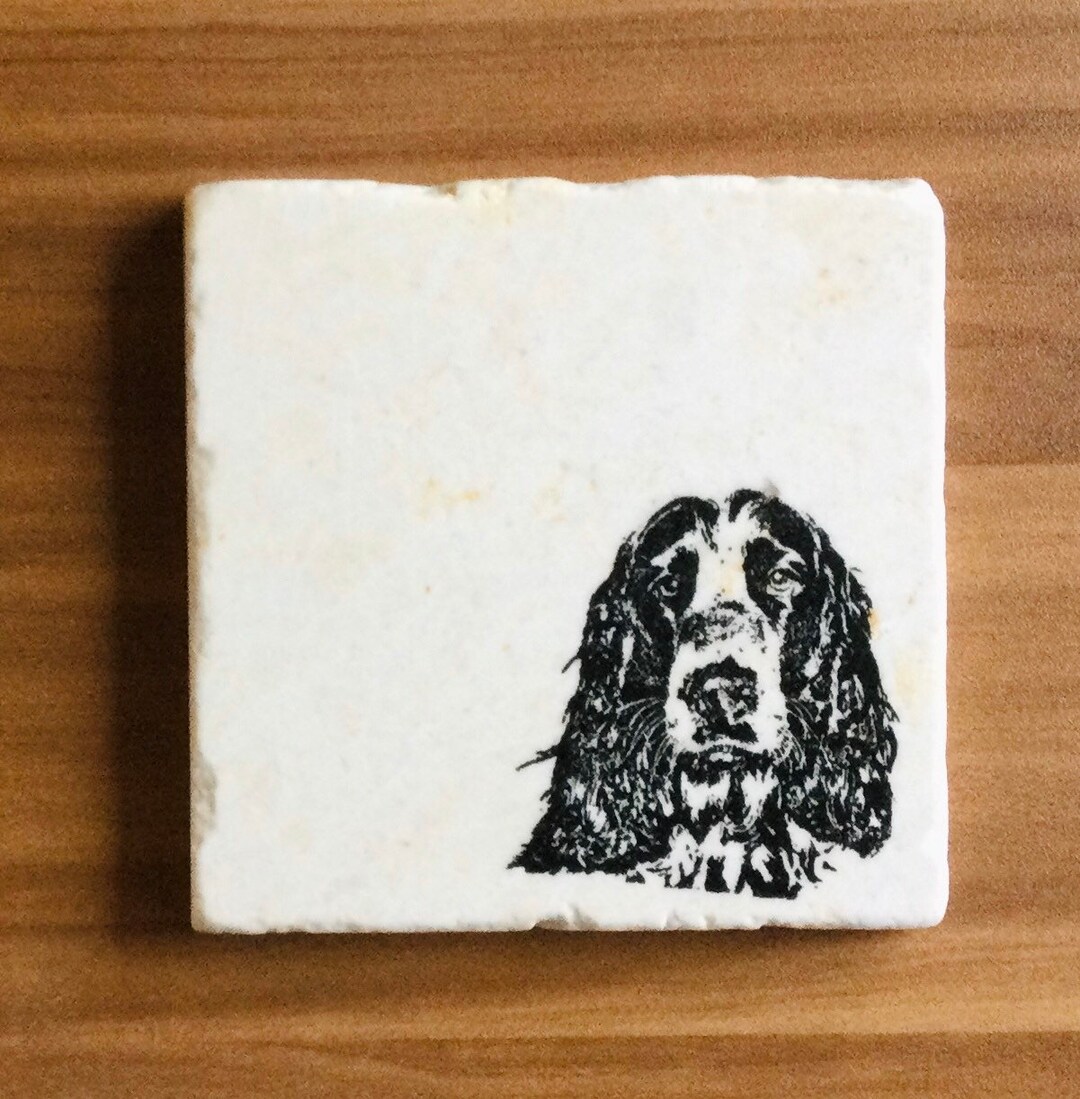 English Springer Spaniel Gift Marble Coasters ~ Handmade Gift ~ Dog ...
