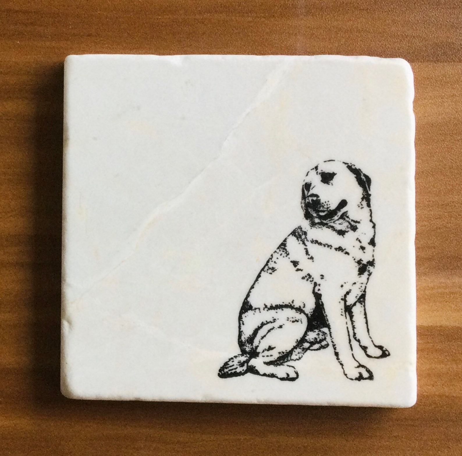 Labrador Retriever Coasters Yellow Lab Gifts Yellow Lab | Etsy