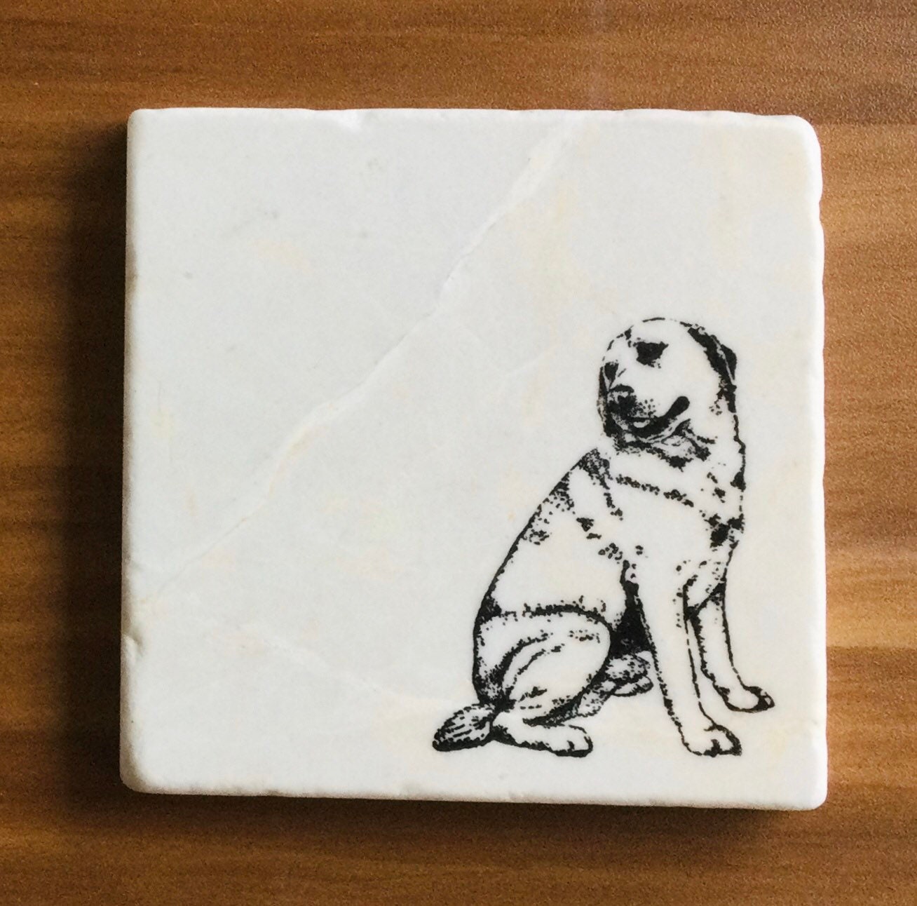 Labrador Retriever Coasters Yellow Lab Gifts Yellow Lab | Etsy