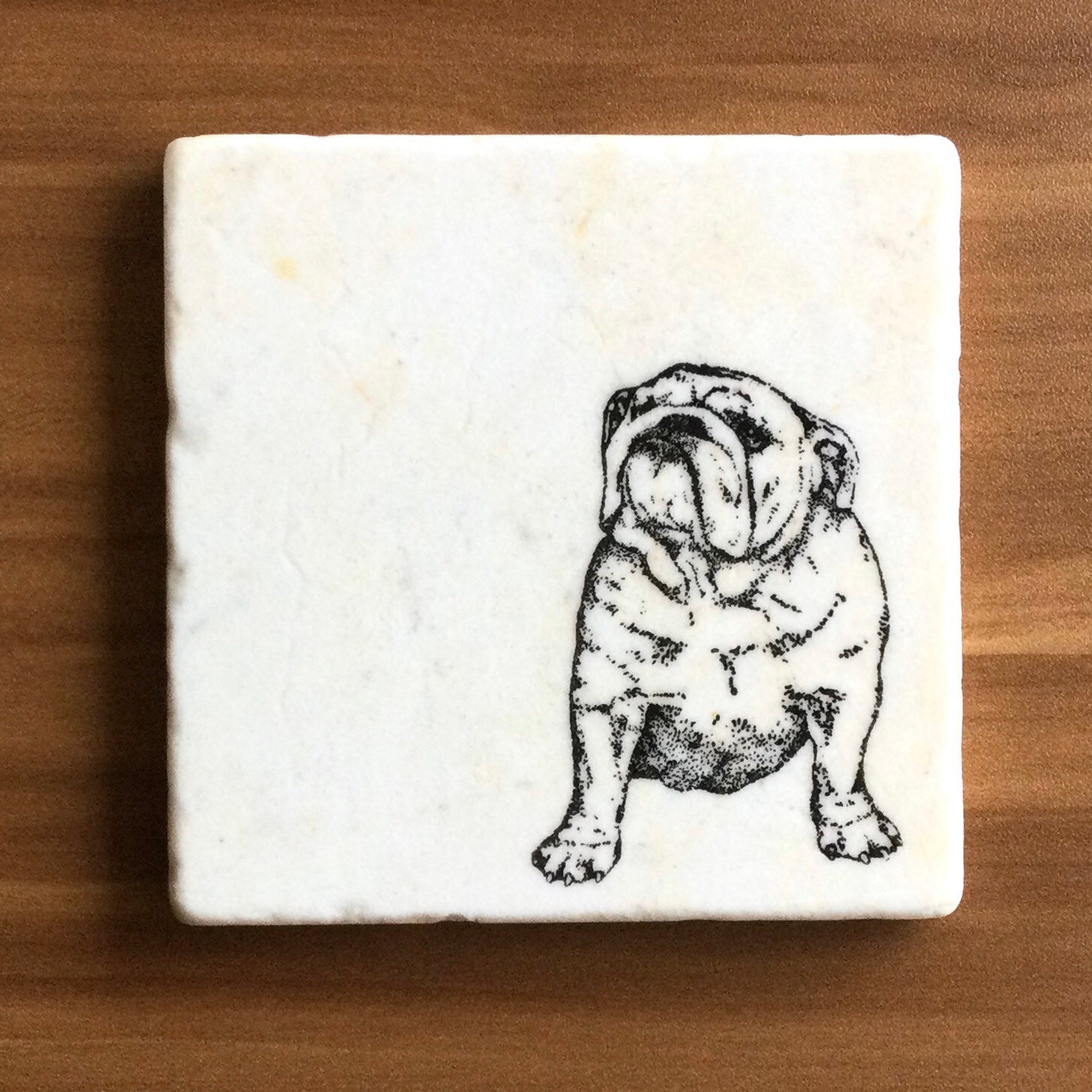 English Bulldog Dog Coasters / Coasters / Dog Coasters / - Etsy