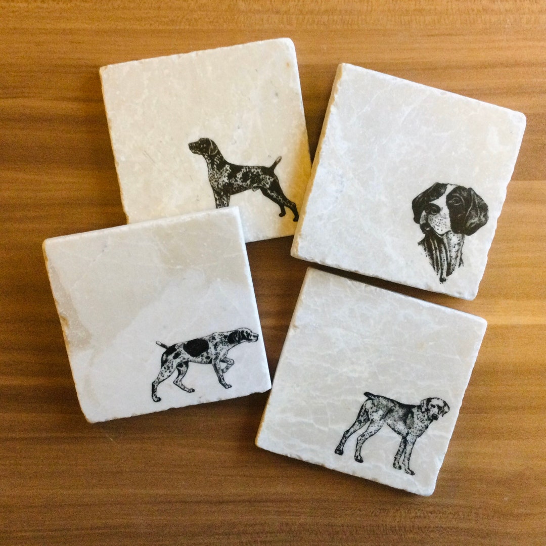 German Shorthaired Pointer Coasters Goft for Dog Lovers GSP Mom Gift ...
