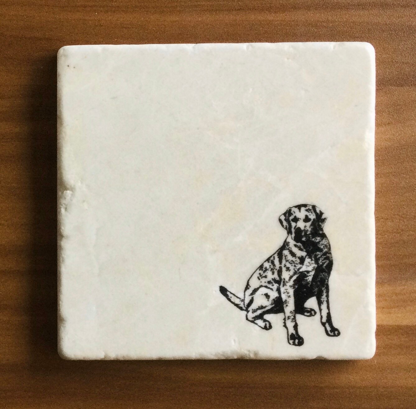 Labrador Retriever Coasters Yellow Lab Gifts Yellow Lab | Etsy