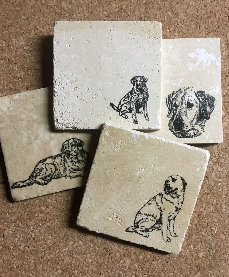 Labrador Retriever Coasters Yellow Lab Coasters Dog | Etsy