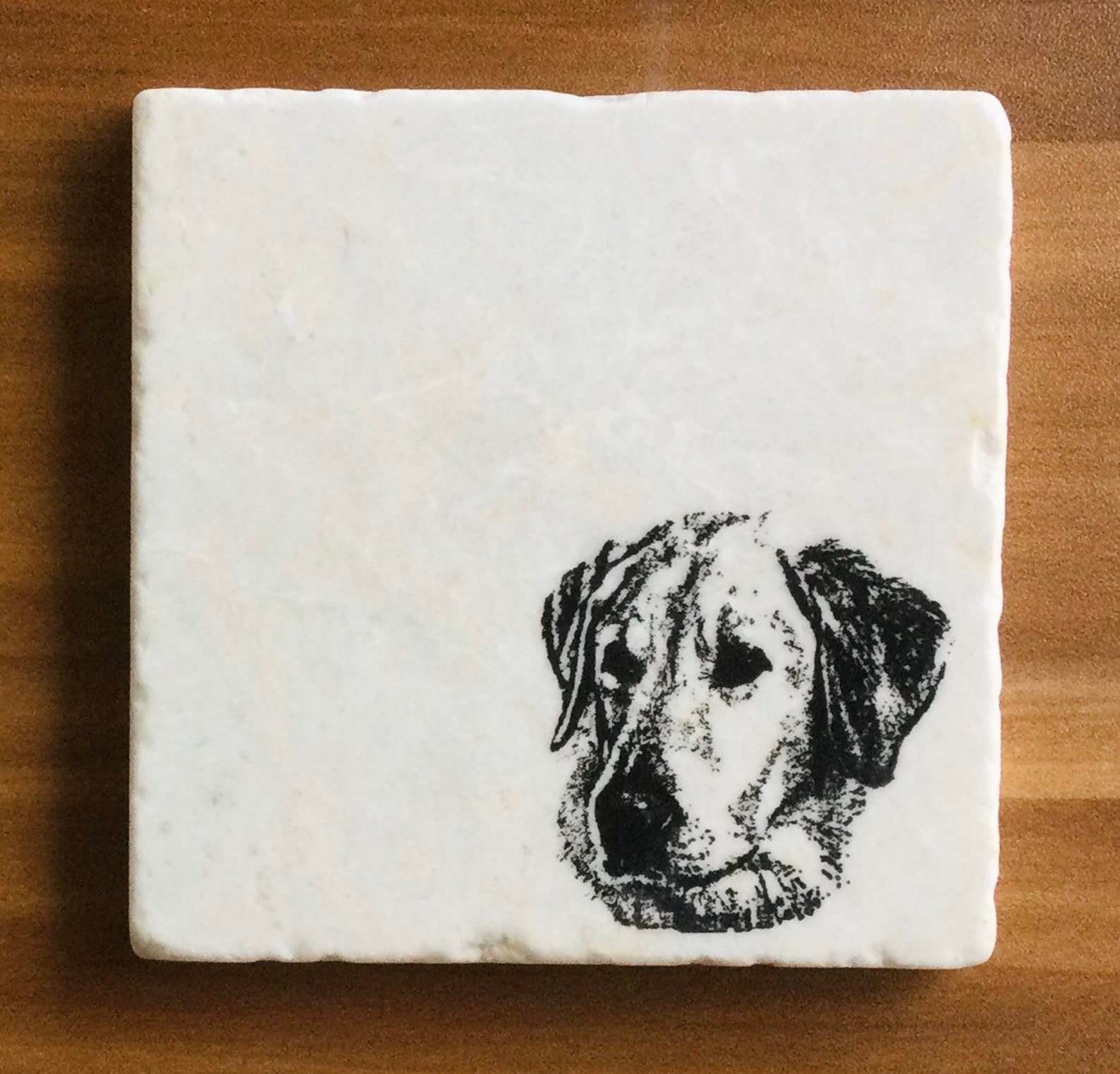 Labrador Retriever Coasters Yellow Lab Gifts Yellow Lab | Etsy