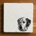 Labrador Retriever Coasters Yellow Lab Gifts Yellow Lab Dog Mom Marble ...