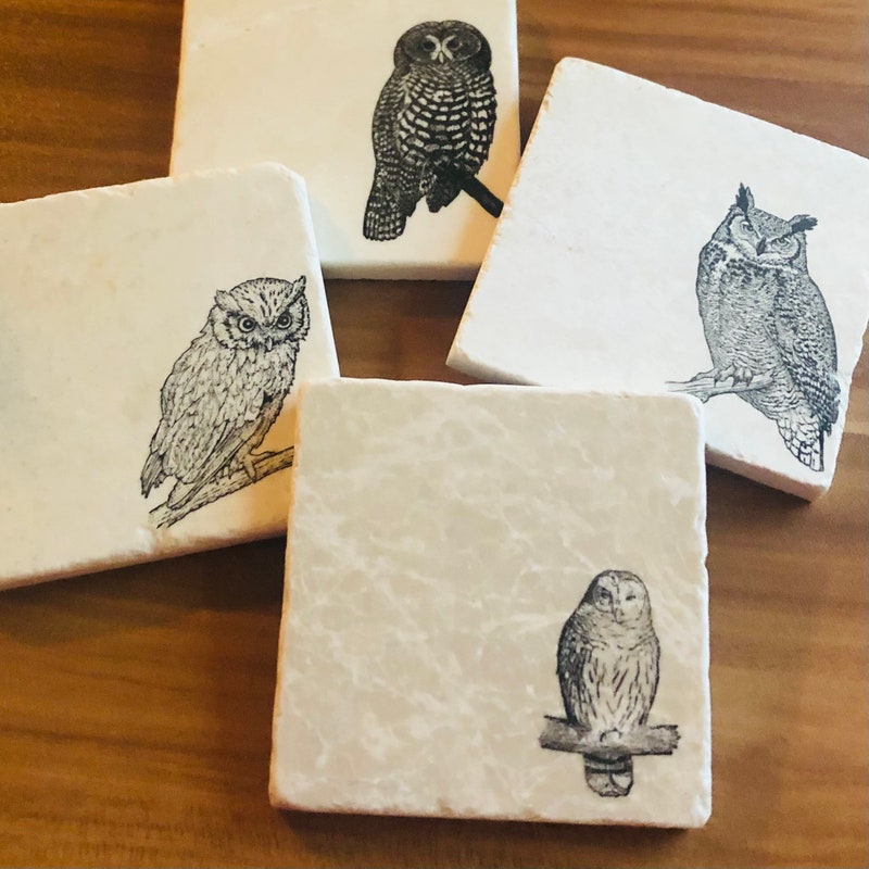 Owl Coasters - Etsy