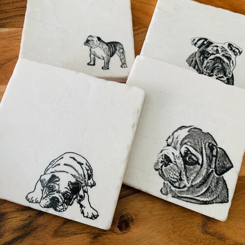 Bulldog Coasters/ English Bulldog Coasters/ Marble Dog - Etsy