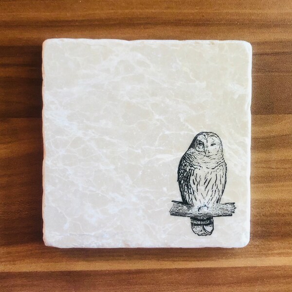 Owl Coasters - Etsy