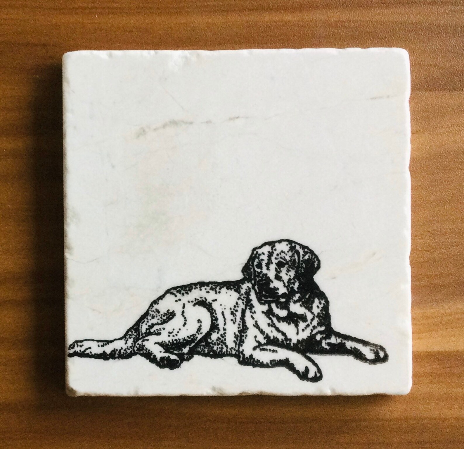 Labrador Retriever Coasters Yellow Lab Gifts Yellow Lab | Etsy