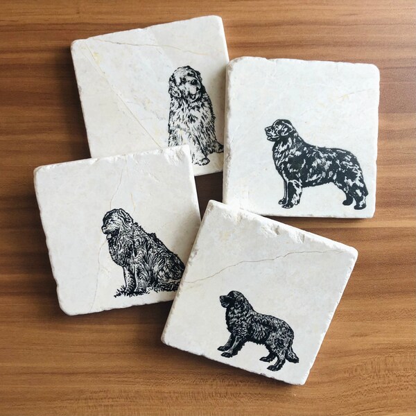 Newfoundland Gifts - 60+ Gift Ideas for 2024