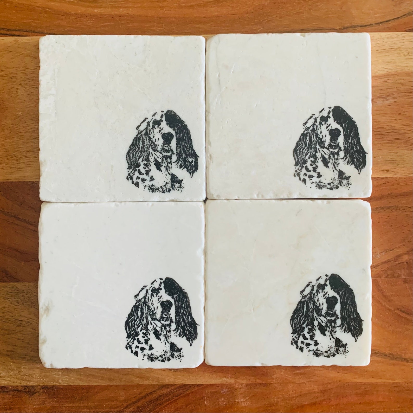 English Setter Coasters ~ English Setter Dog ~ English Setter Dog Mom ...