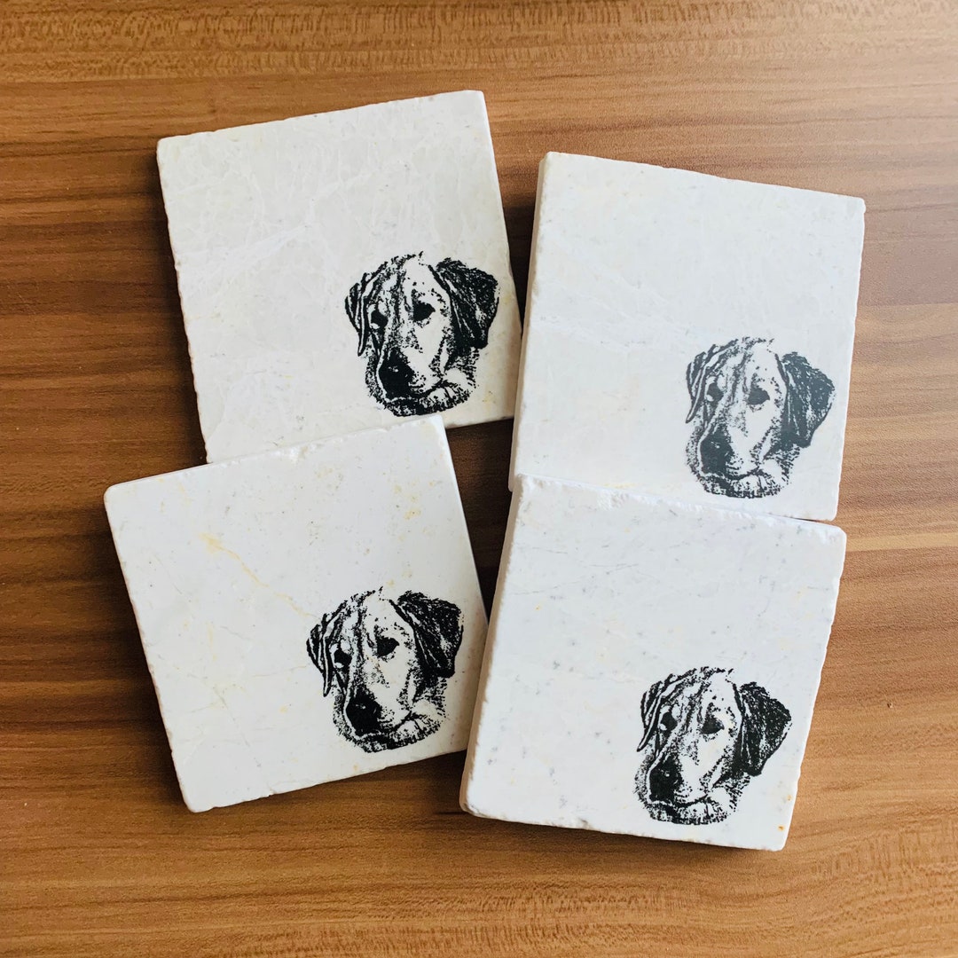 Labrador Retriever Coasters Yellow Lab Coasters Stamped Coasters Stone ...