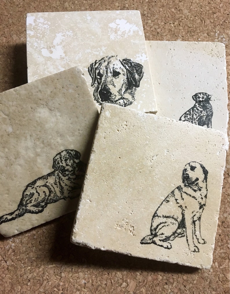 Labrador Retriever Coasters Yellow Lab Coasters Dog | Etsy