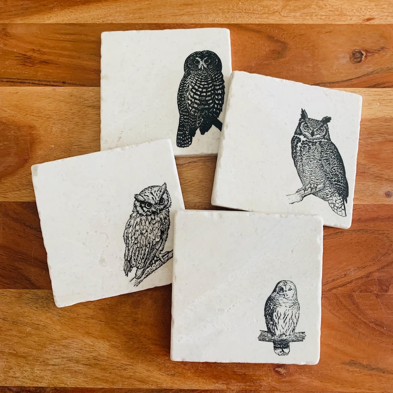 Owl Coasters - Etsy
