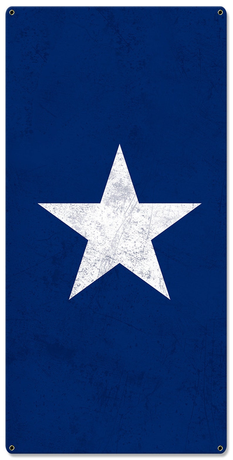 Texas State Flag the Lone Star State Triptych Metal Sign - Etsy