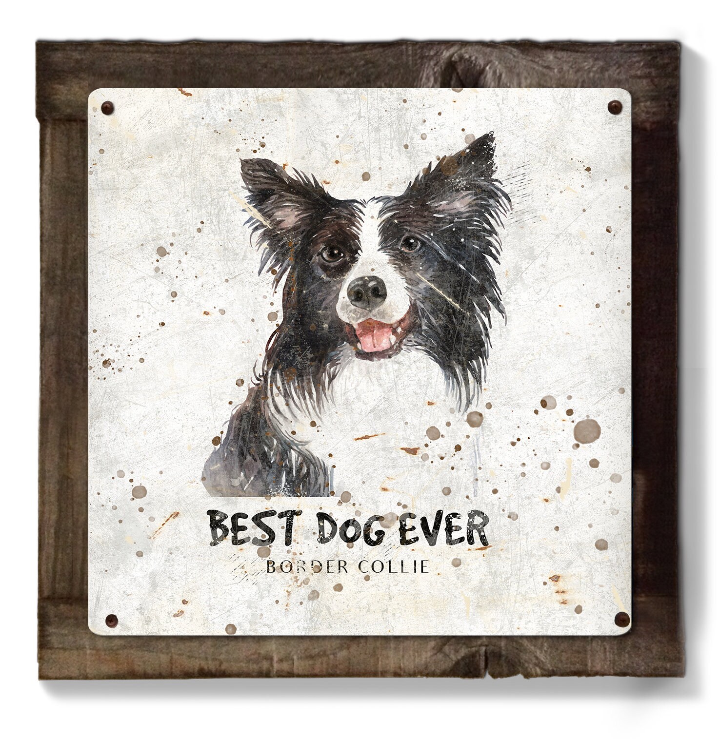 Border Collie Collie Wall Art, Dog METAL Sign, Optional Reclaimed Wood ...
