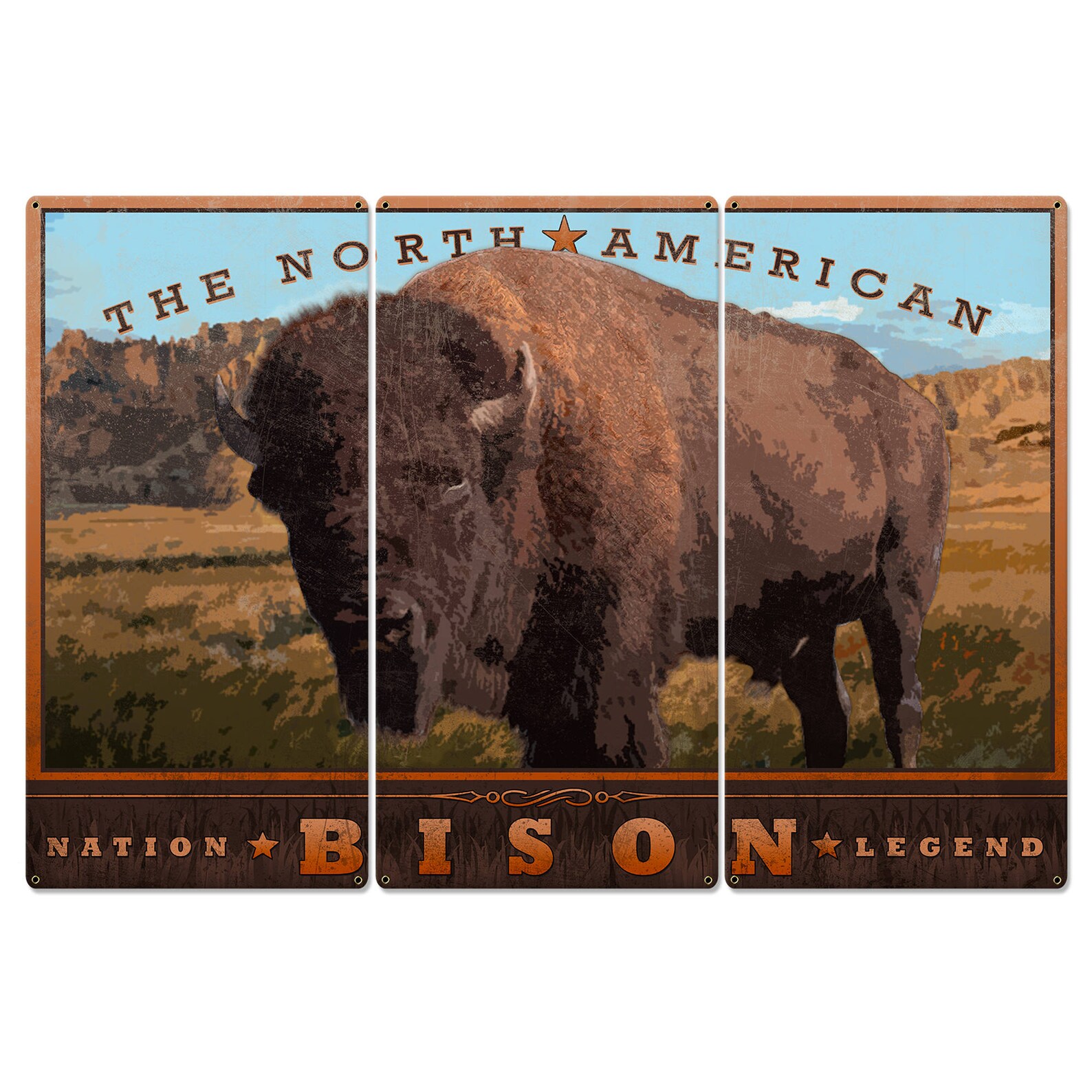 The North American Bison, Buffalo, Tatanka, Western, Americana, Native ...