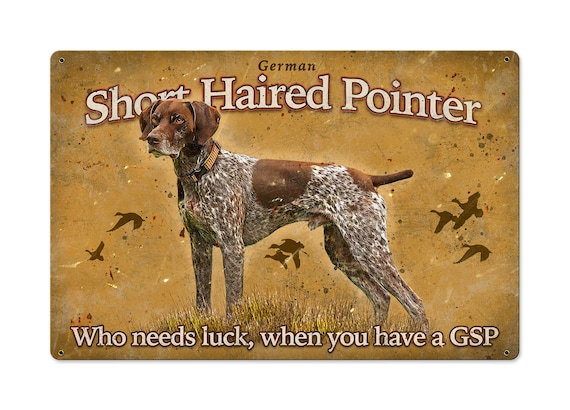 Arkwright Pointer