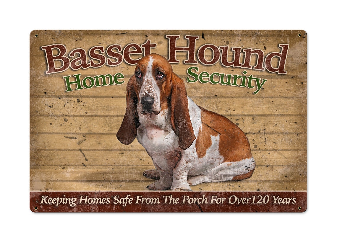 Basset Hound Wall Art Dog METAL Sign Optional Reclaimed - Etsy