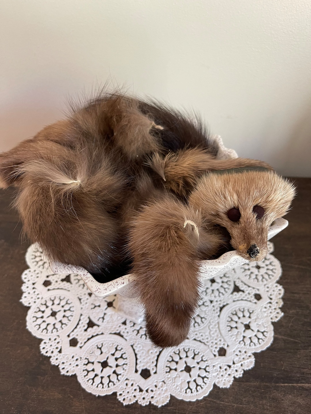 Taxidermy Curiosity MINK Fur Body Parts Legs Claws Head - Etsy