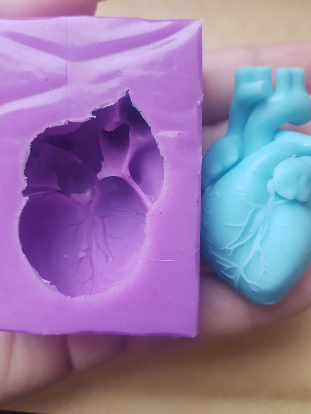 Large 3D Anatomical Heart Silicone Mold 60 Mm - Etsy