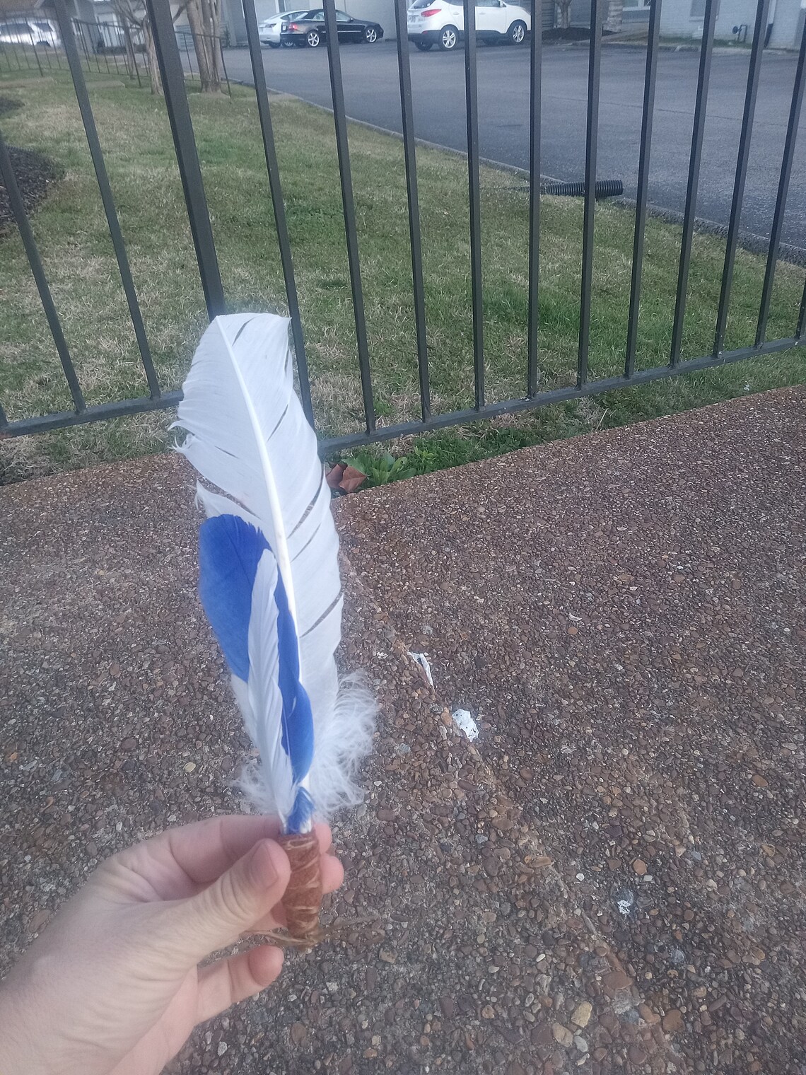 Smudged Smudging Prayer Feather Fan Native American Indian Shaman Smoke ...