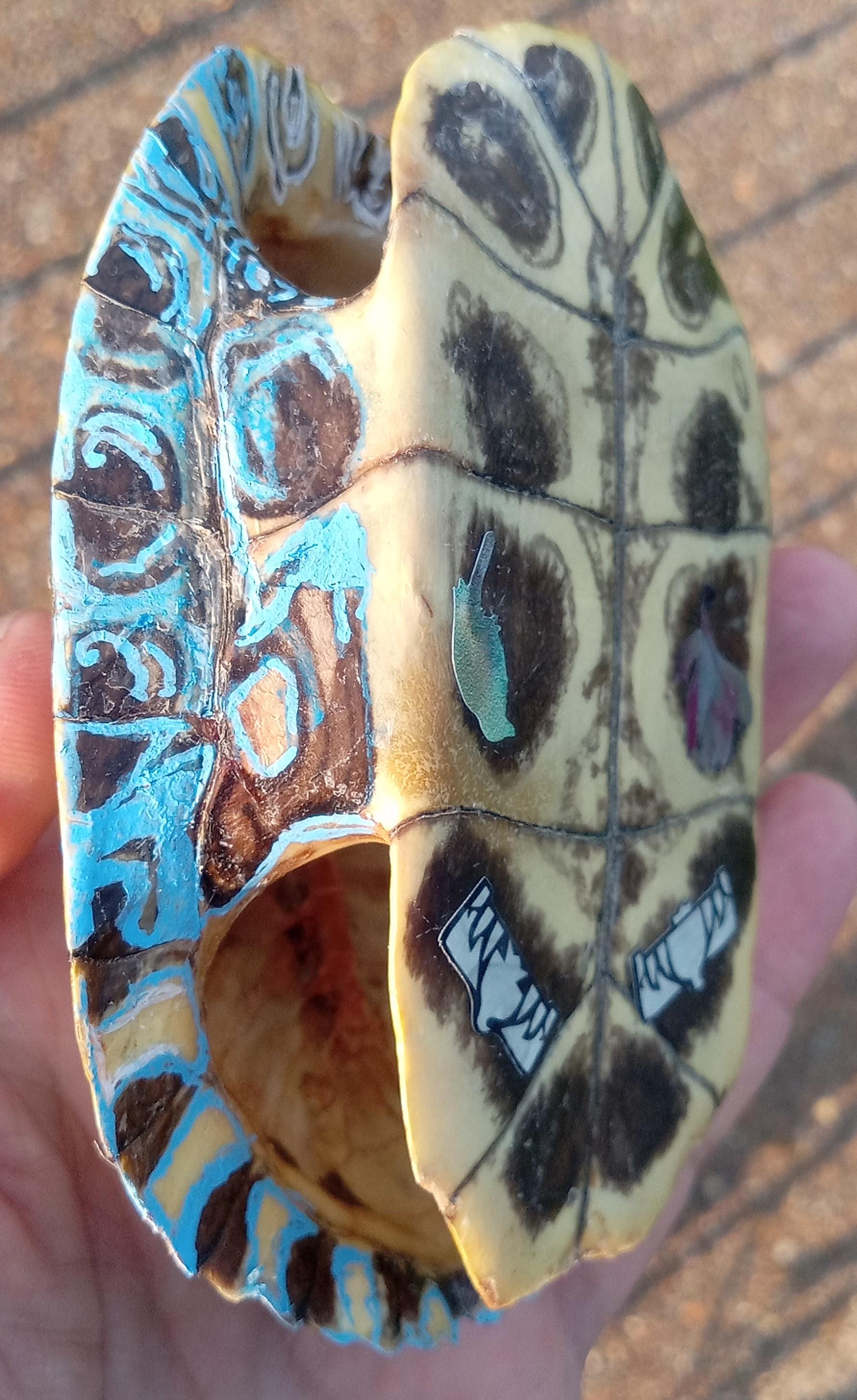 Decorated Painted Turtle Shell & Rattle Native American Indian Lotus ...