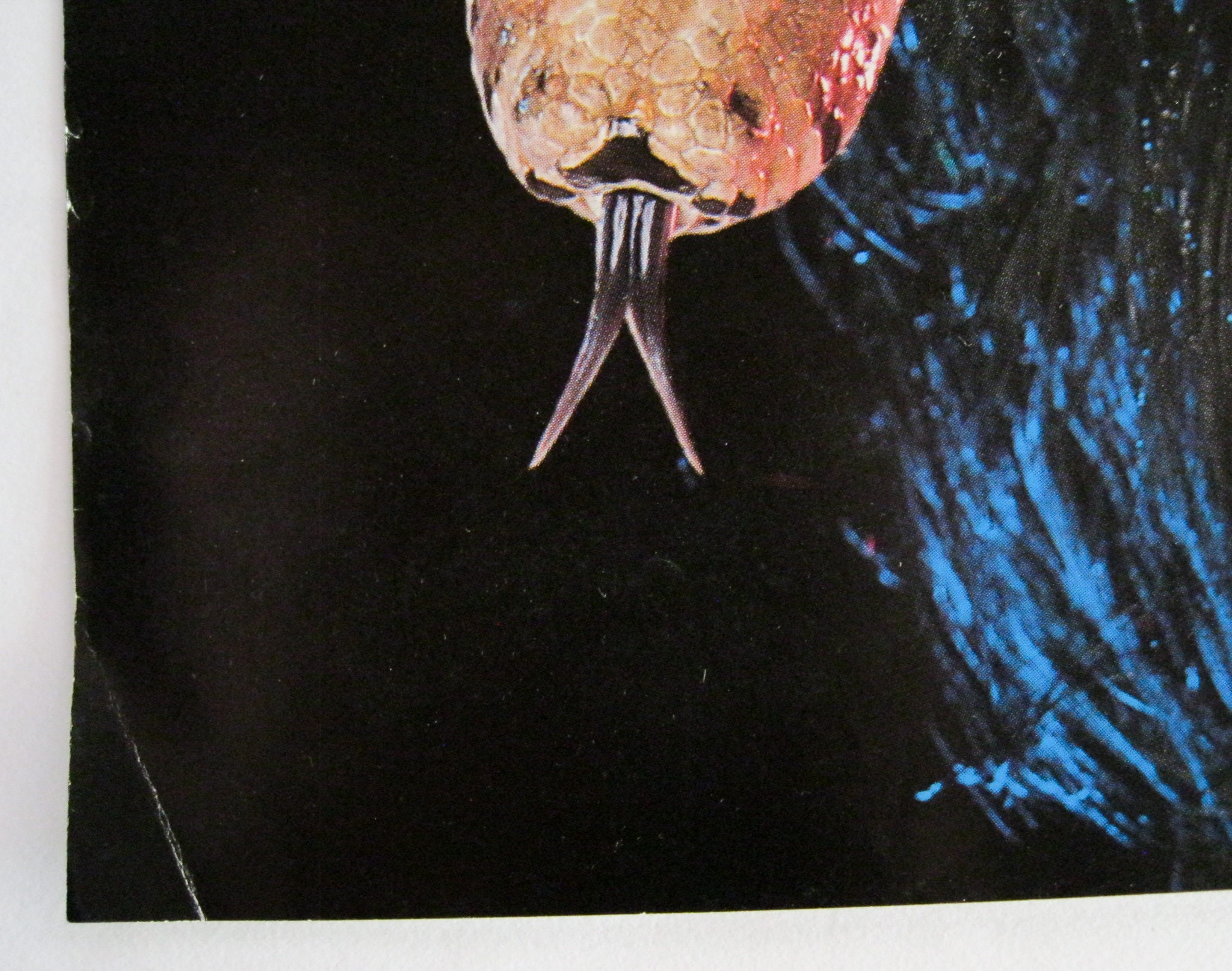 1986 ALICE COOPER PROMO Poster Constrictor Poster - Etsy