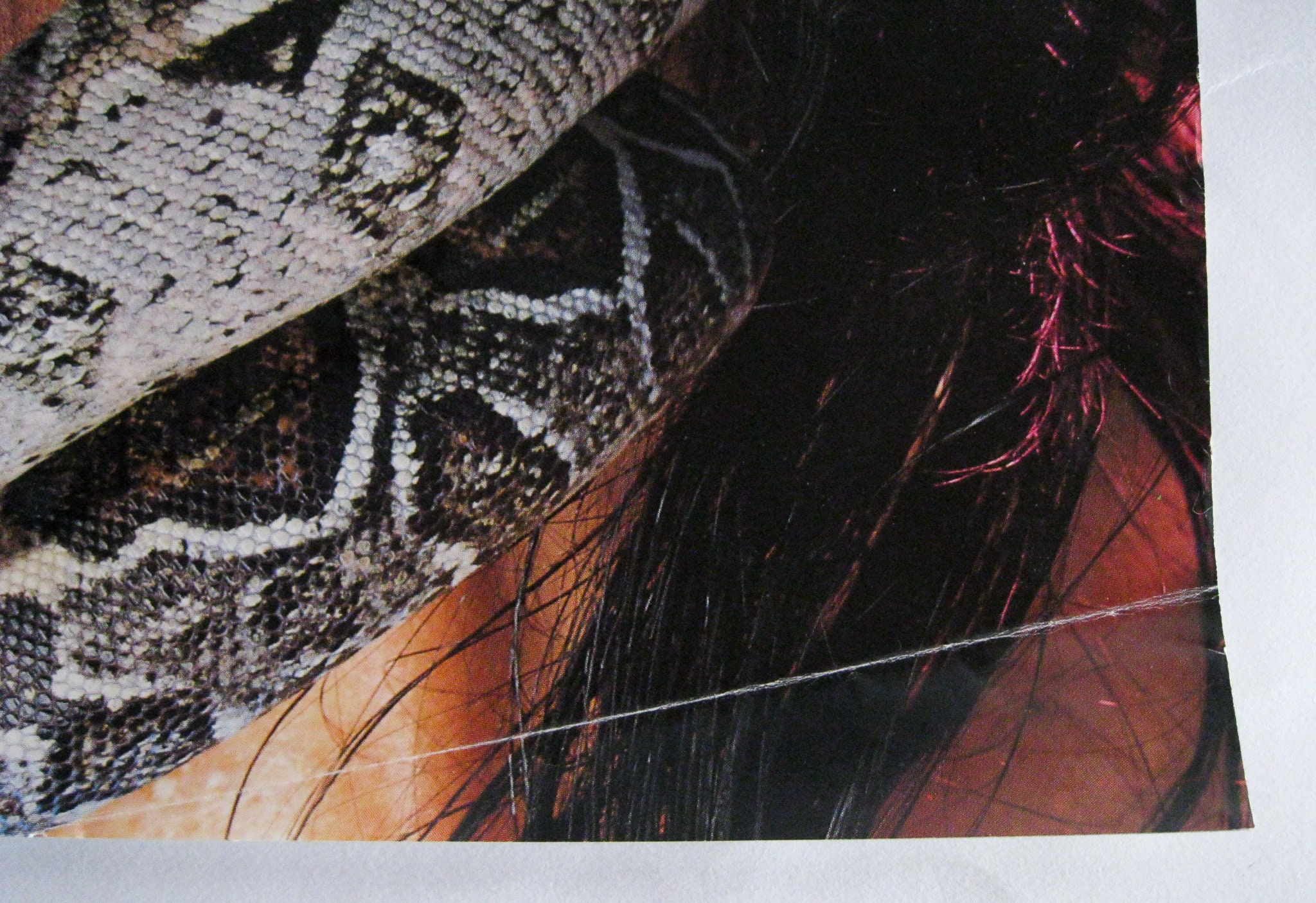 1986 ALICE COOPER PROMO Poster Constrictor Poster - Etsy