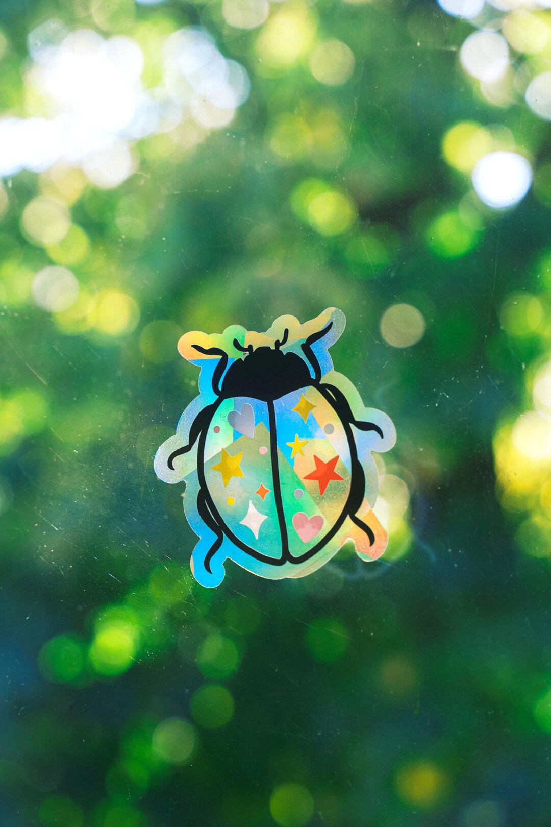 Suncatcher | Lady Bug Beetle Window Cling Sun Catcher | Cancer Research ...