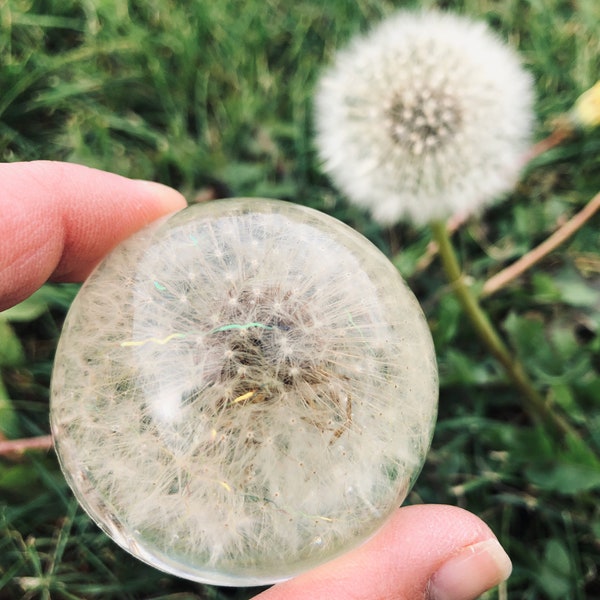 Dandelion Resin - Etsy