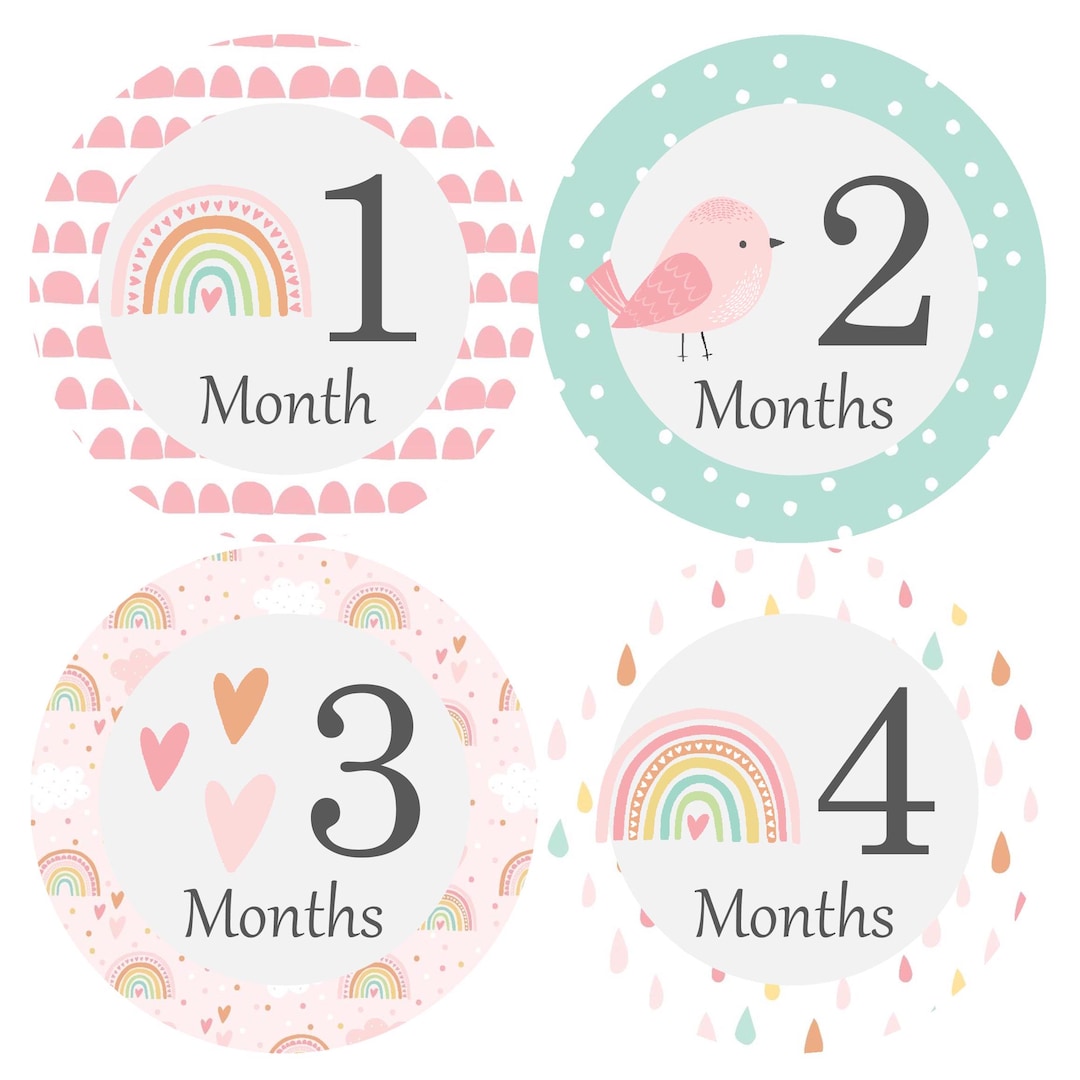 PRINTABLE INSTANT DOWNLOAD Rainbow Birds Baby Onesie® Milestone ...