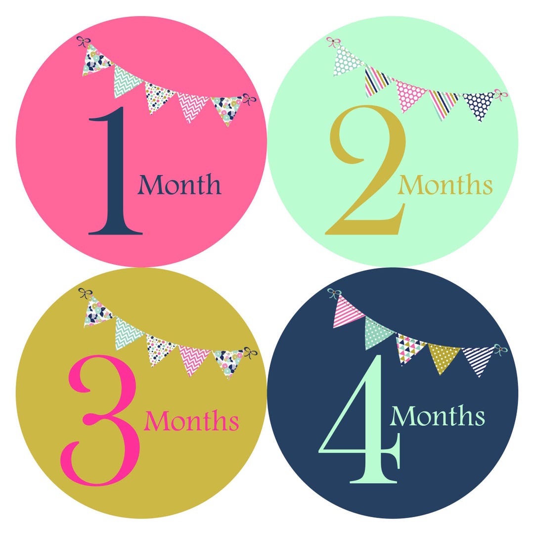 Baby Girl Monthly-milestone Stickers-monthly Baby Stickers-girl Baby ...