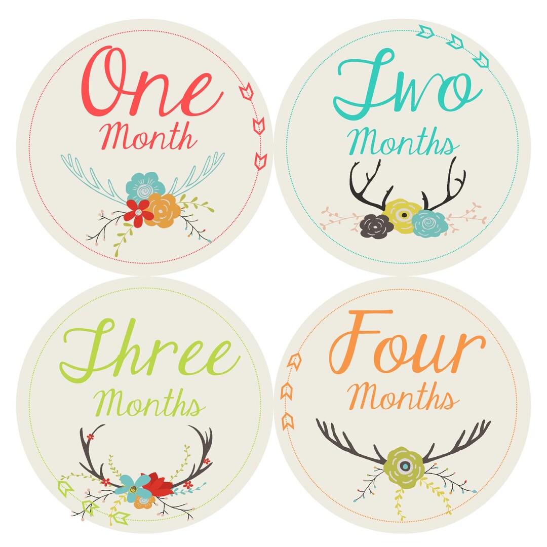 PRINTABLE INSTANT DOWNLOAD Antler Floral Baby Onesie® Milestone ...
