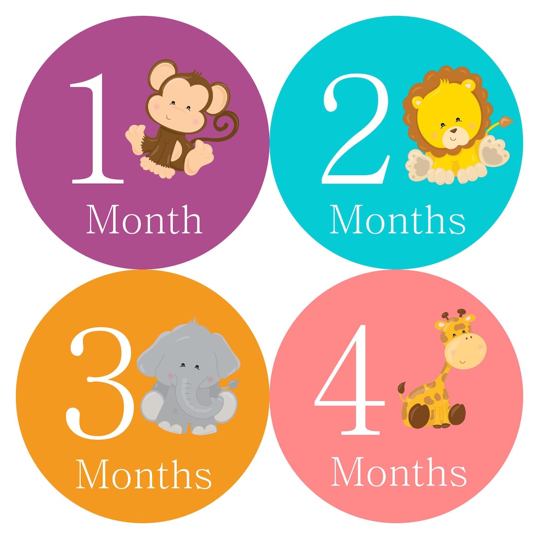 Jungle Animals-baby Girl Monthly-milestone Stickers-monthly Baby ...