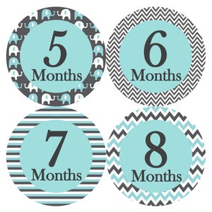 Baby Boy Monthly Stickers, Milestone Stickers, Month Stickers, Baby ...
